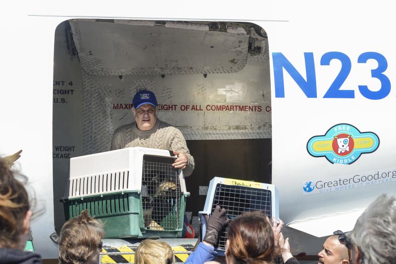 Dogs take freedom flight to Georgetown | Cape Gazette