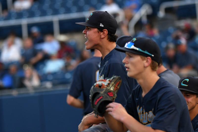 Cape baseball falls in semis | Cape Gazette