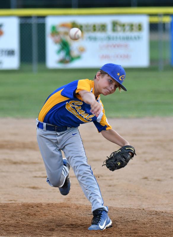Milton 8-10 All-Stars fall short in states | Cape Gazette
