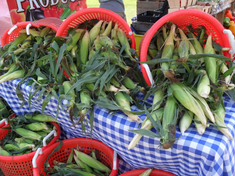 Milton Farmers Market to continue Fridays through Oct. 18 | Cape Gazette