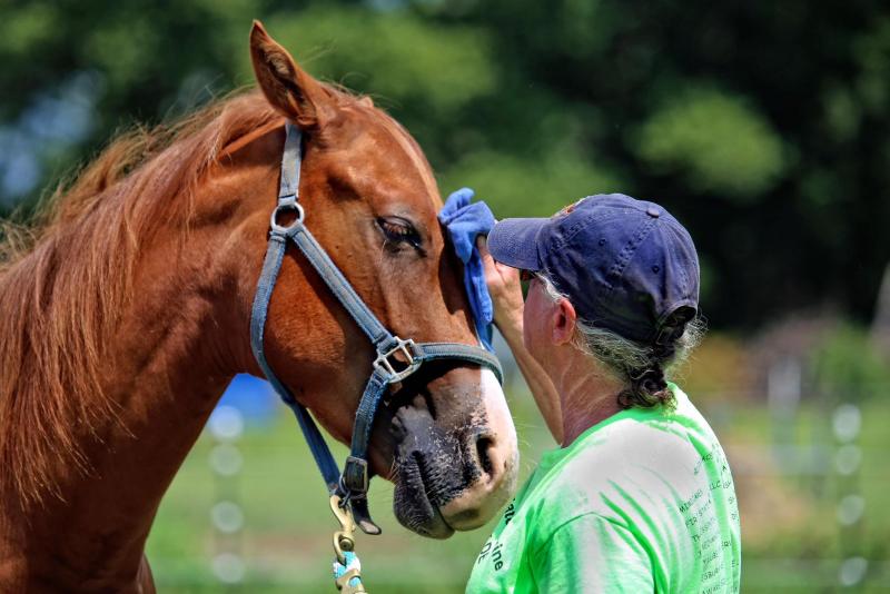 Grotto event for Changing Fates Equine Rescue set Oct. 5 | Cape Gazette