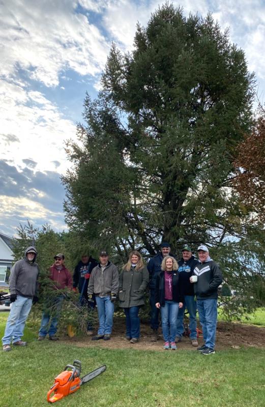 Christmas tree installed at Rehoboth Bandstand | Cape Gazette