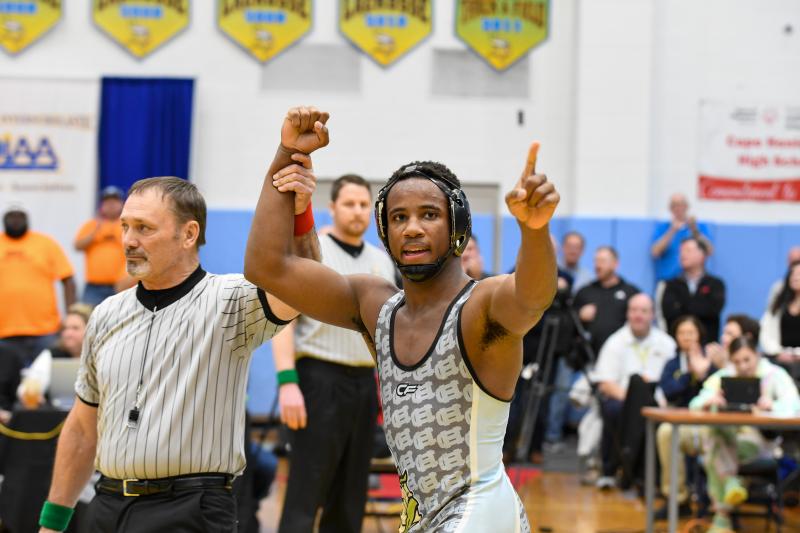 Vikings put seven grapplers on podium in state tourney | Cape Gazette