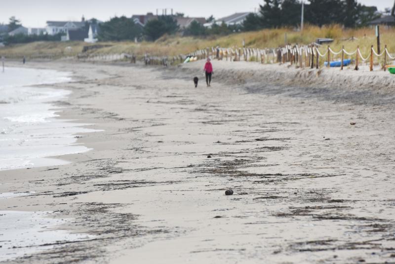 Dnrec Continues To Assess Clean Up Oil Spill At Broadkill Southern