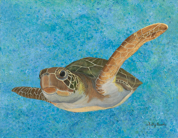 Artist Kathy Buschi to release new sea turtle print June 5-6 | Cape Gazette