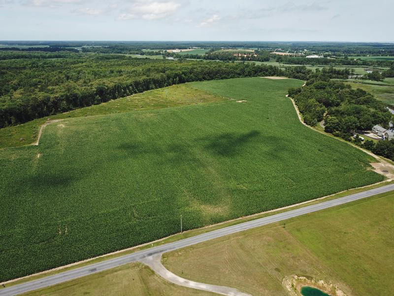 Sussex P&Z denies Lockhaven subdivision | Cape Gazette