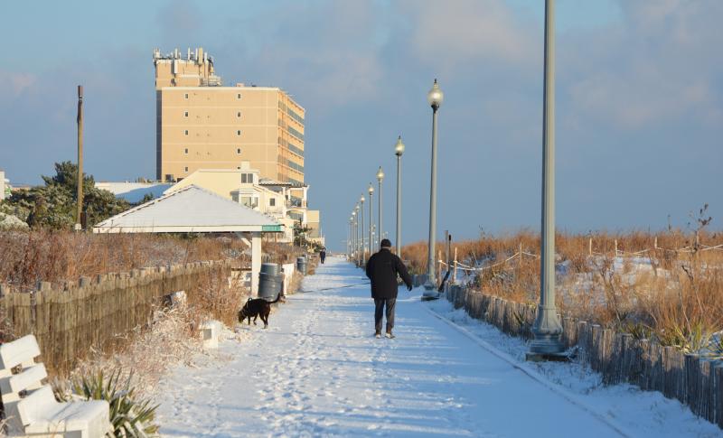 Cape Region sees snow twice in one week | Cape Gazette