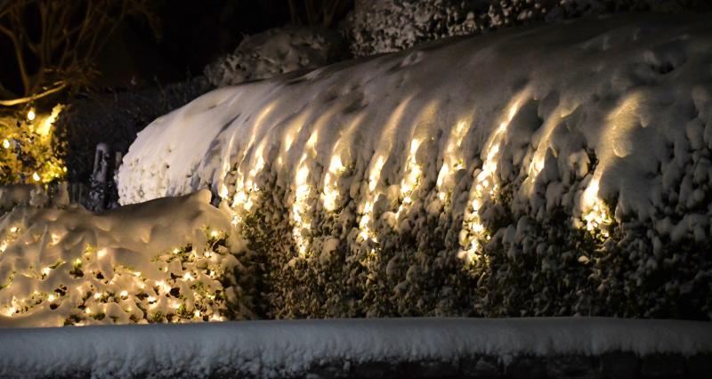 Glow in the snow | Cape Gazette