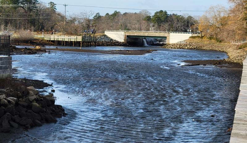 Always something new to see where pond and river meet | Cape Gazette