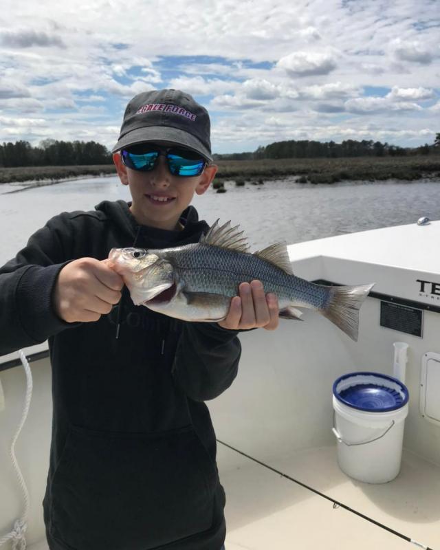 Finding fish is not random | Cape Gazette