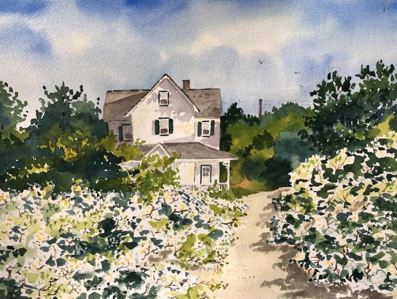 Local favorite Doris Ingram featured at Peninsula Gallery | Cape Gazette