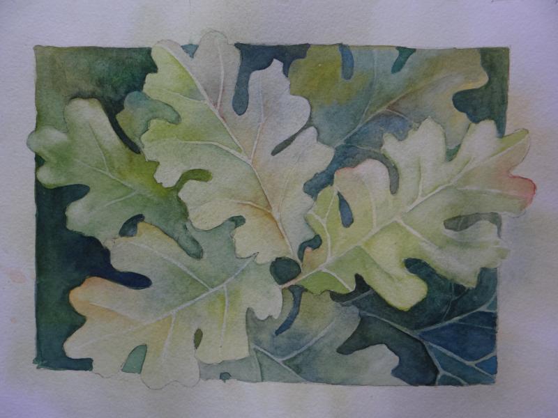Negative space watercolor painting class set May 11 | Cape Gazette