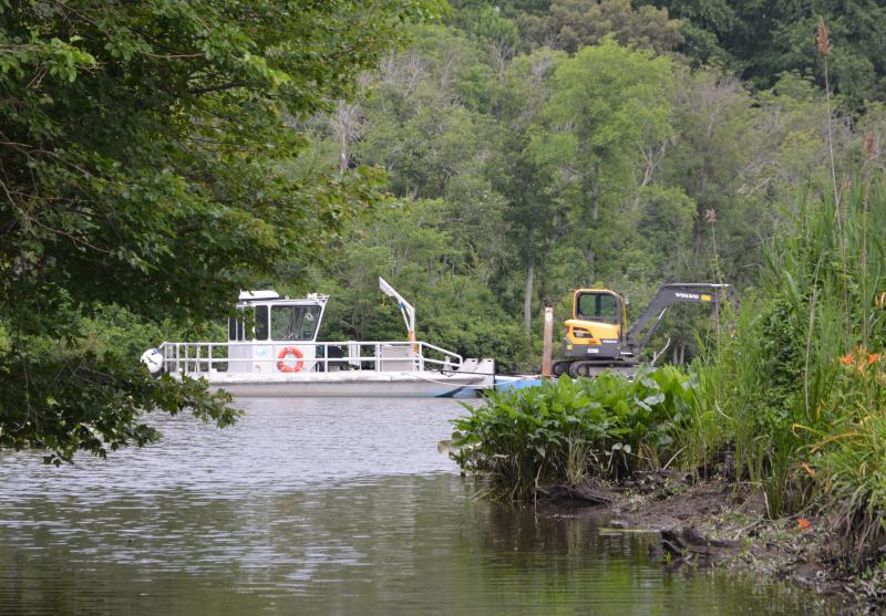 DNREC clears fallen trees from Broadkill | Cape Gazette