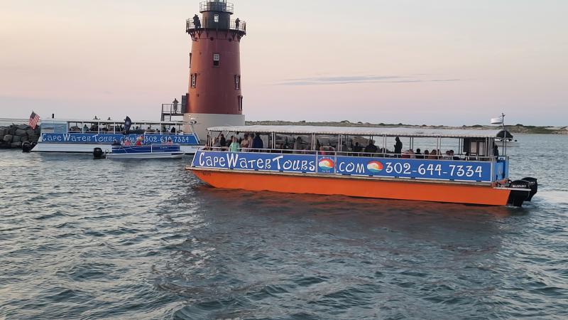 Sunset dolphin cruise to benefit MERR Institute | Cape Gazette