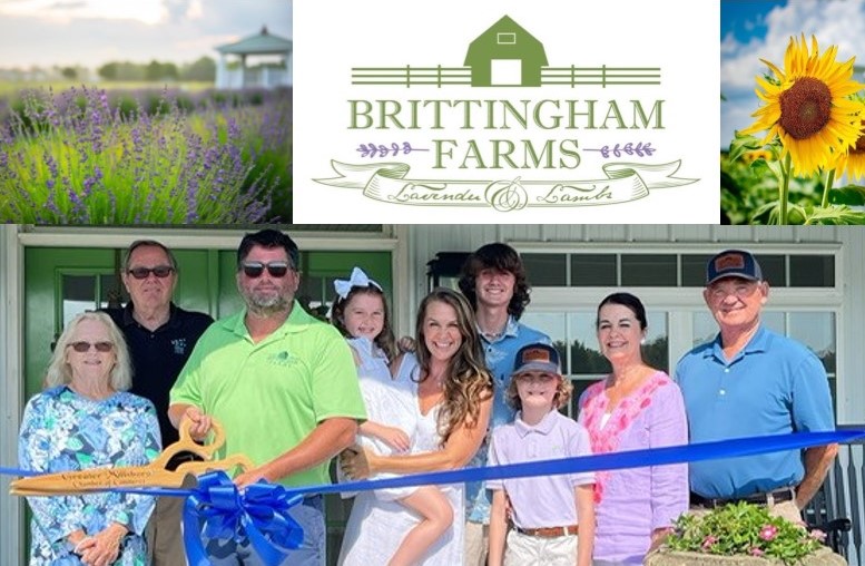Brittingham Farms celebrates ribbon cutting in Millsboro | Cape Gazette