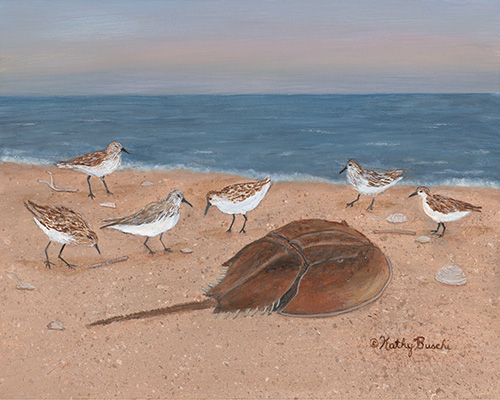 Artist Kathy Buschi to host open house Sept. 17-18 | Cape Gazette