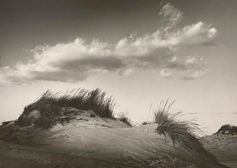 Peninsula Gallery Kindred Spirits reception set Oct. 29 | Cape Gazette