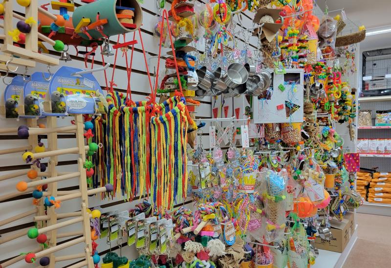 Anyone want to buy Harbeson’s exotic bird farm? | Cape Gazette