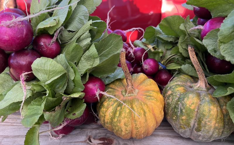 Historic Lewes Farmers Market celebrates volunteers Nov. 12 | Cape Gazette