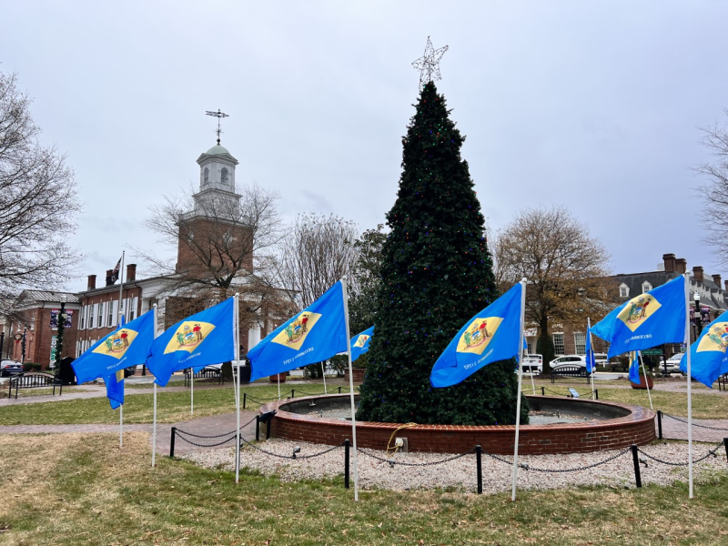 Georgetown-Millsboro Rotary flies flags for Delaware Day | Cape Gazette