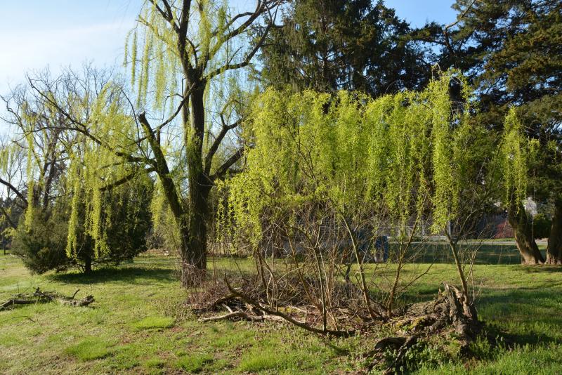 Browseabout’s bestseller list is 50-year snapshot of Rehoboth | Cape ...