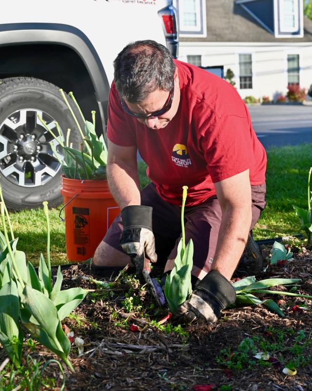 Can you dig it? | Cape Gazette