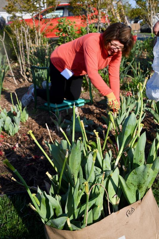 Can you dig it? | Cape Gazette