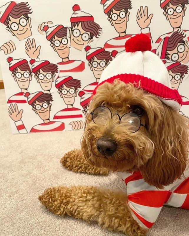 Doodles converge in Dewey April 28-30 | Cape Gazette