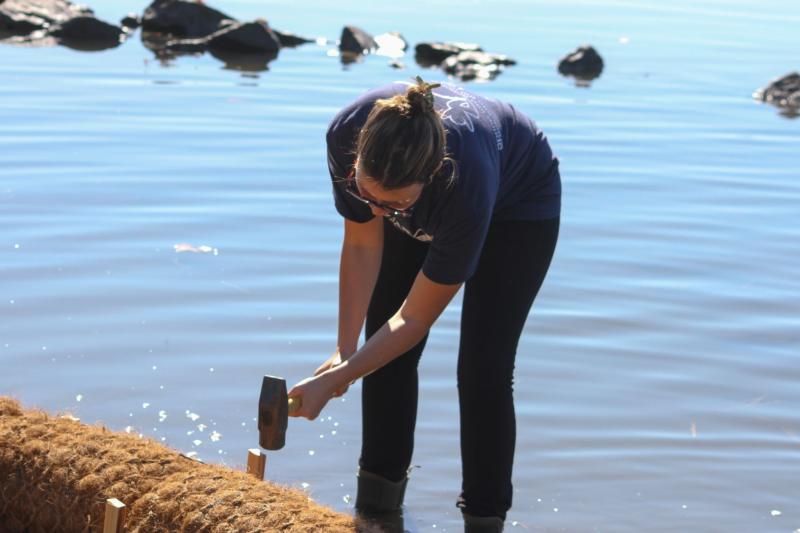 Inland Bays scientific committee sets online meeting Aug. 11 | Cape Gazette
