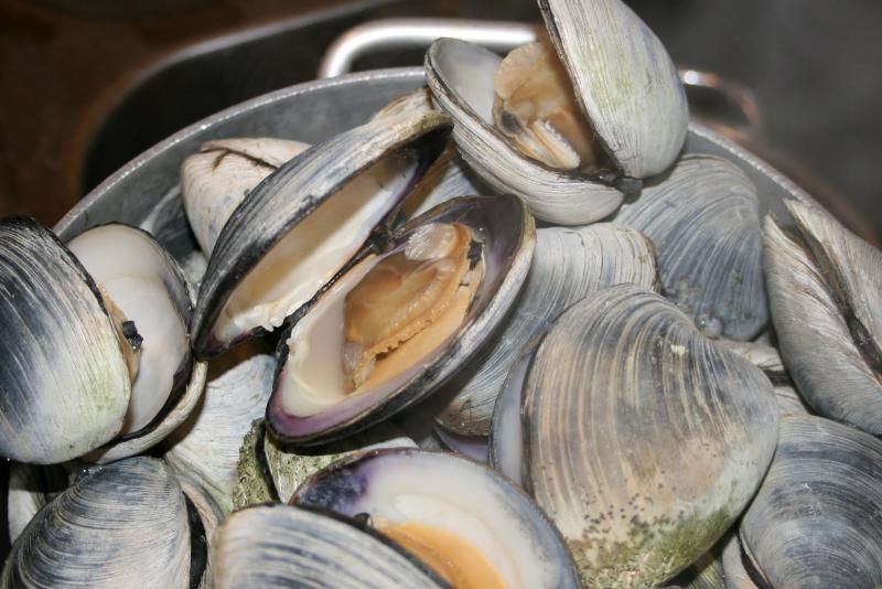 Millsboro wastewater spill closes IR Bay to recreational bivalve ...