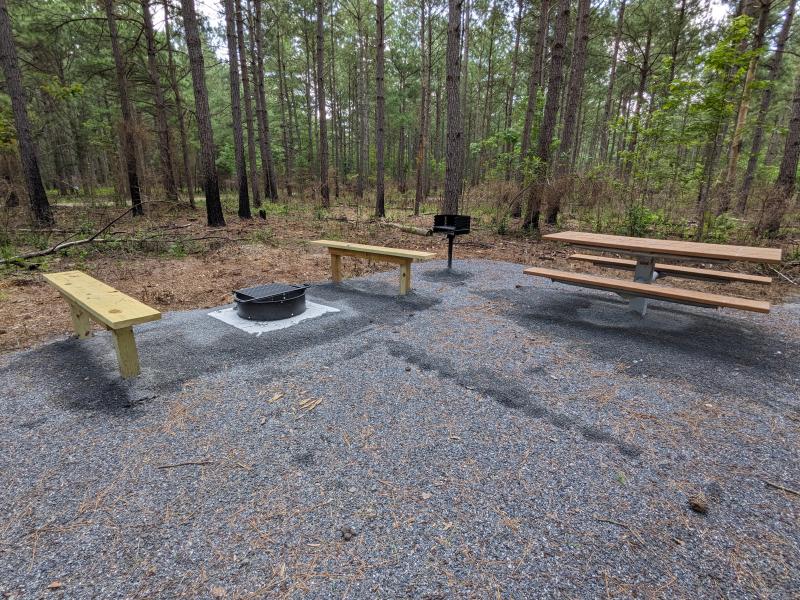 Delaware Forest Service campsite reservation portal now open | Cape Gazette