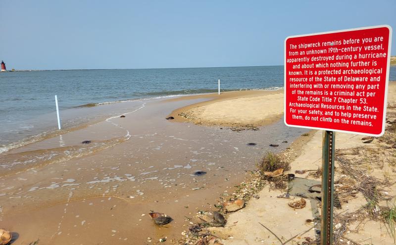 Shifting sands, a host of sparrows and pickin’ chicken | Cape Gazette