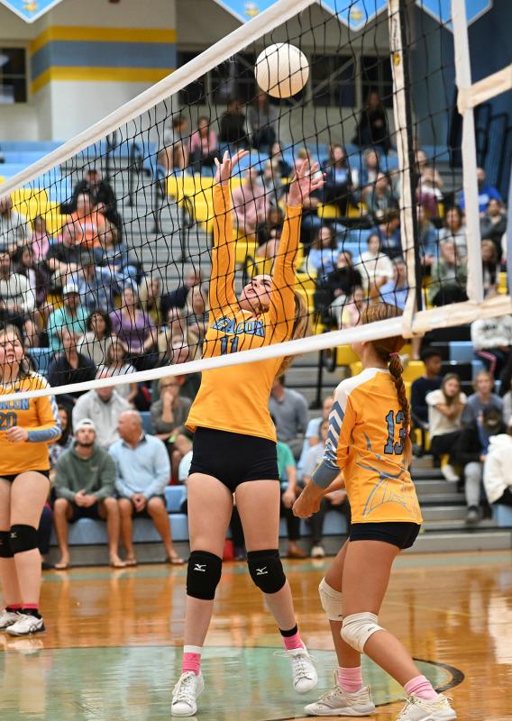 Beacon downs Mariner in volleyball matchup | Cape Gazette