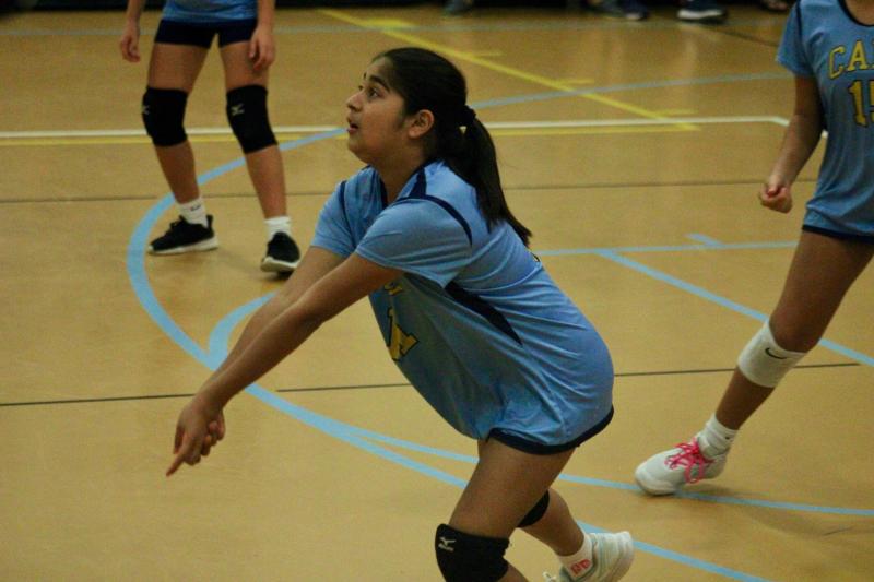 Georgetown volleyball prevails over Beacon in battle of unbeatens ...