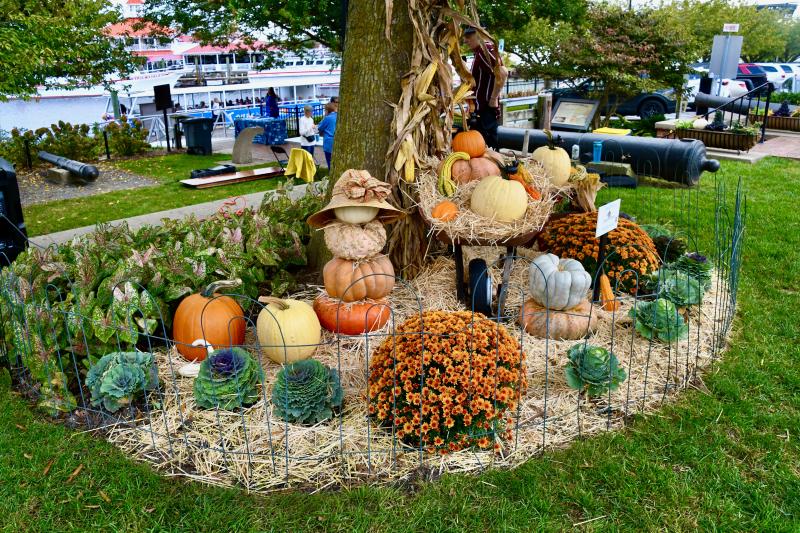 Boast the Coast along the canal | Cape Gazette