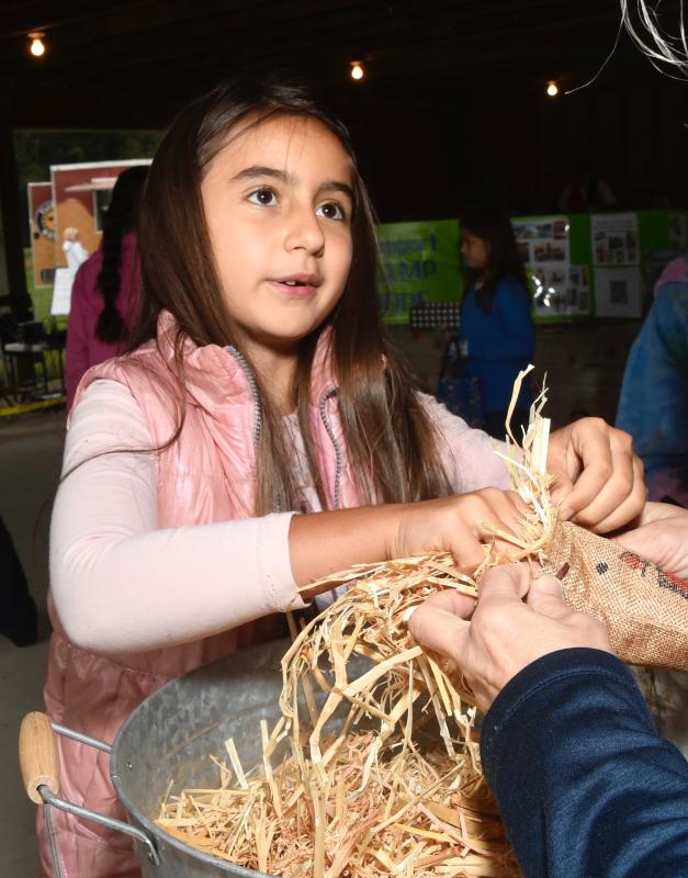 Fall is theme of festival at Conley’s UMC | Cape Gazette