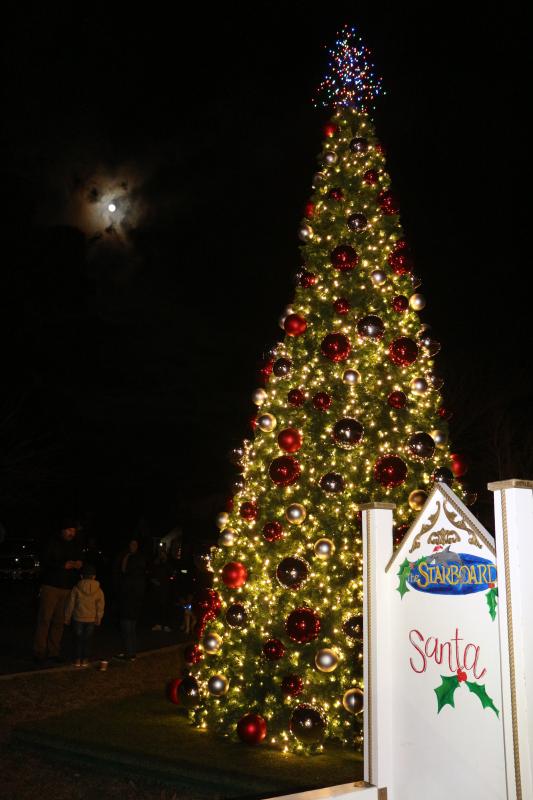Merry-makers flock to Dewey tree lighting | Cape Gazette