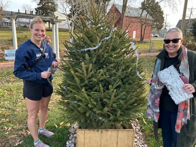 Milton committee unveils newest public art display | Cape Gazette