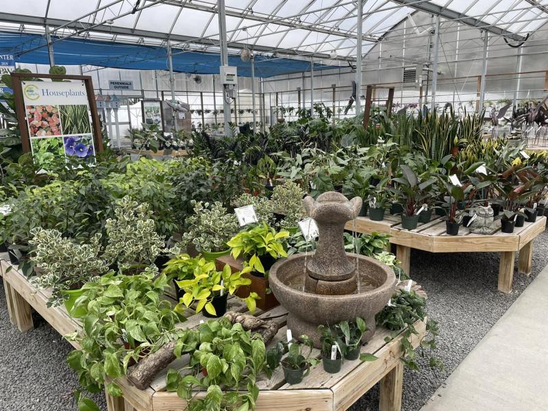 East Coast Garden Center spring classes kick off Jan. 27 | Cape Gazette