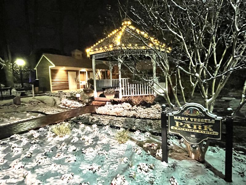 First snow of 2024 hits Cape Region | Cape Gazette