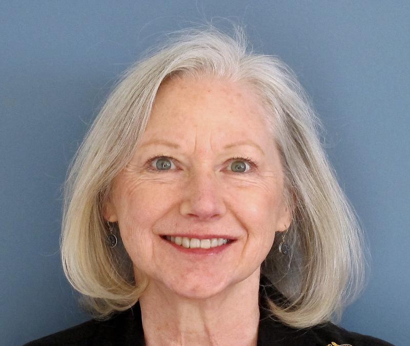 Rehoboth Art League board chair to address AAUW members March 21 | Cape ...