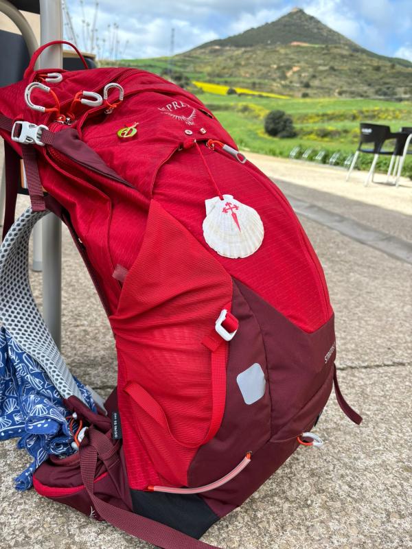 Neighbors helping neighbors: A pilgrimage for Parkinson’s | Cape Gazette