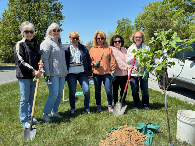 Sussex Gardeners plant dogwood trees for Earth Day | Cape Gazette