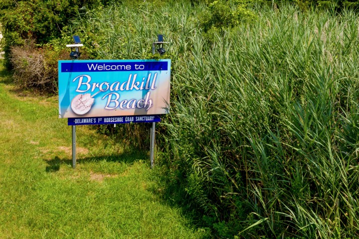 Oversized Lot in Broadkill Beach at 111 Mississippi Ave | Cape Gazette
