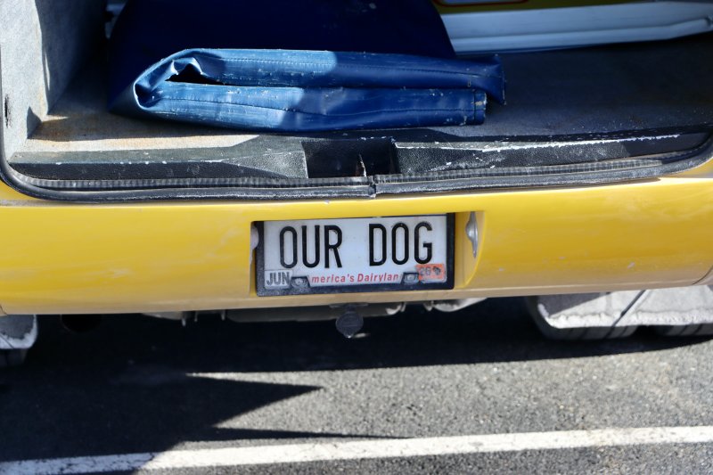 Cape grad is top dog on Wienermobile | Cape Gazette