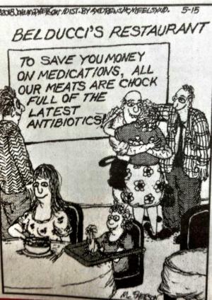 Plant-Based Cartoons | Cape Gazette